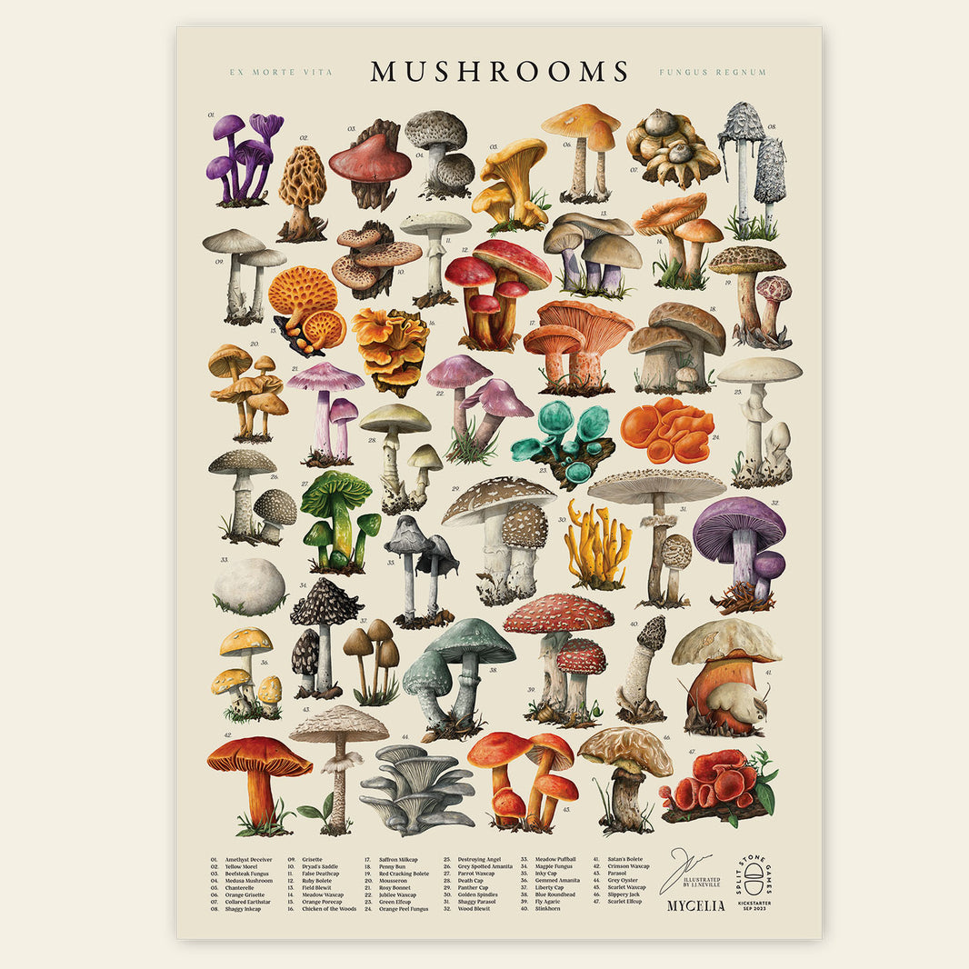 Split Stone Games – Split Stone Games