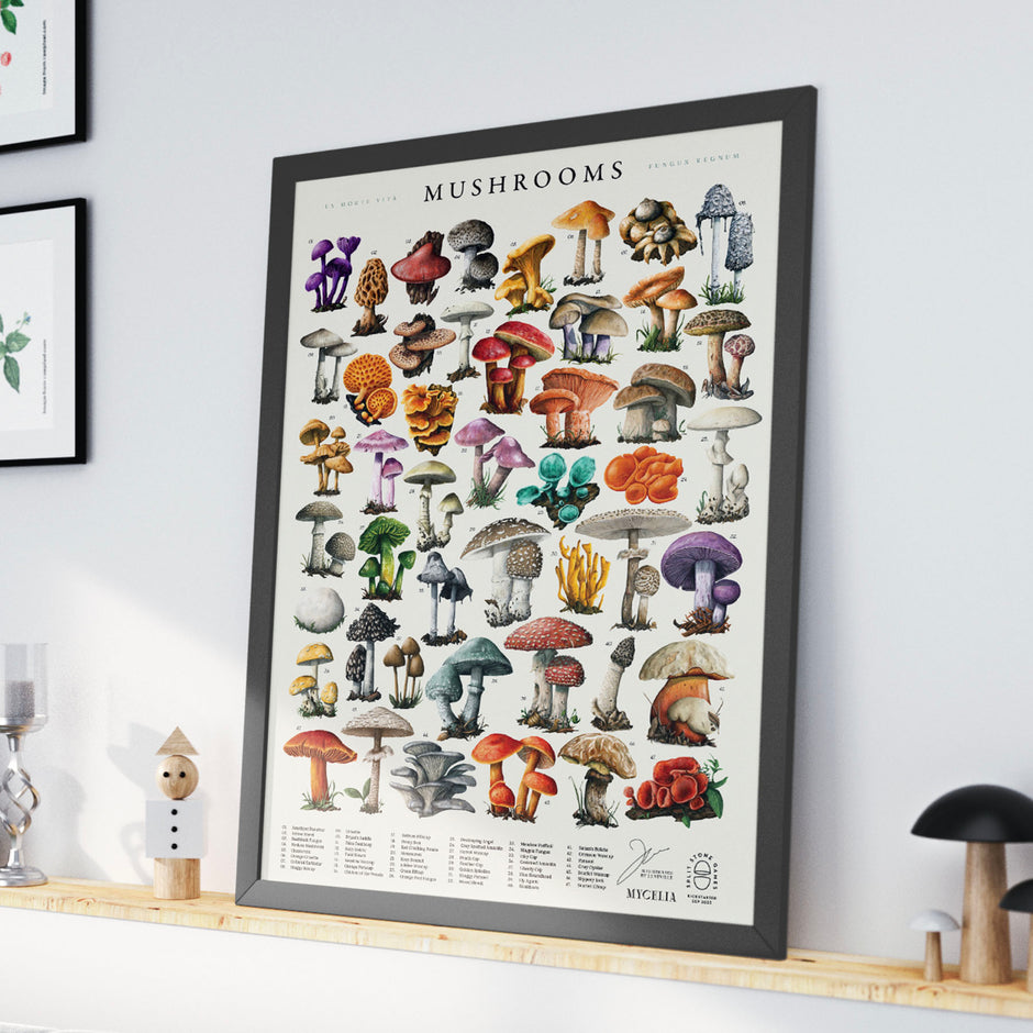 Split Stone Games – Split Stone Games